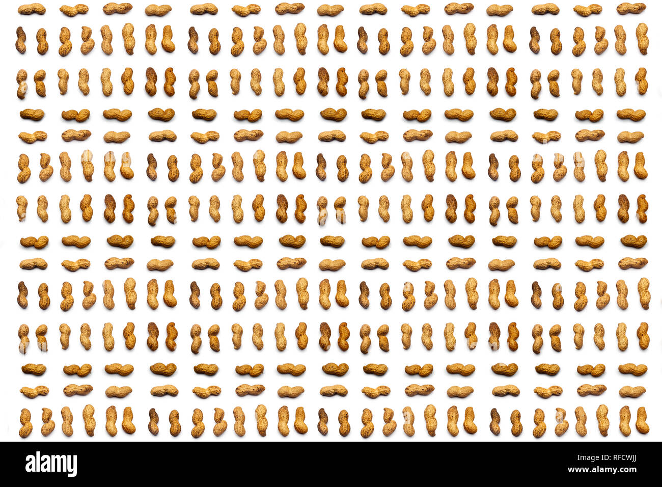 A collection of unpeeled peanuts lie in horizontal rows on an isolated ...