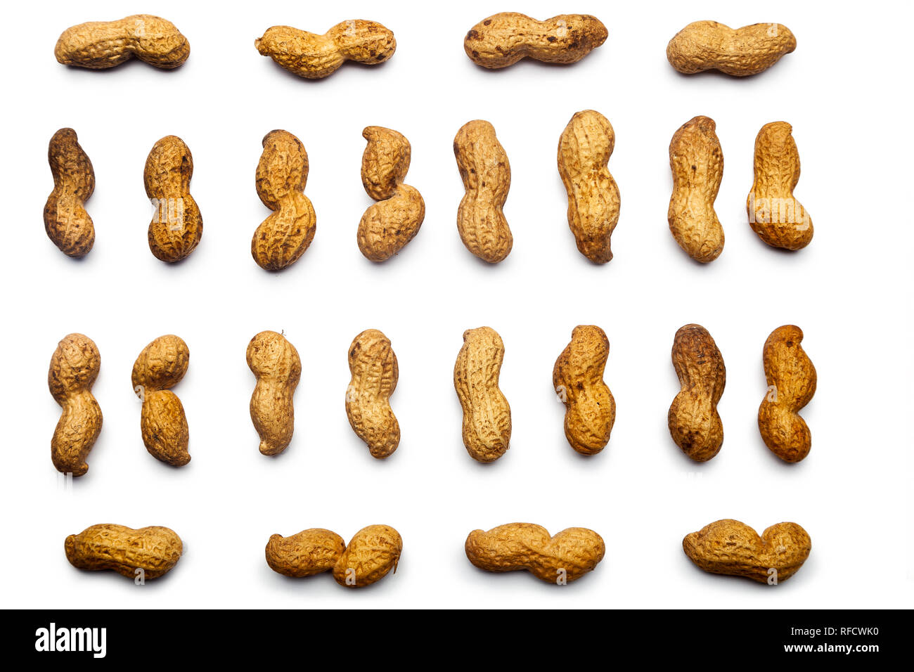 A collection of unpeeled peanuts lie in horizontal rows on an isolated ...