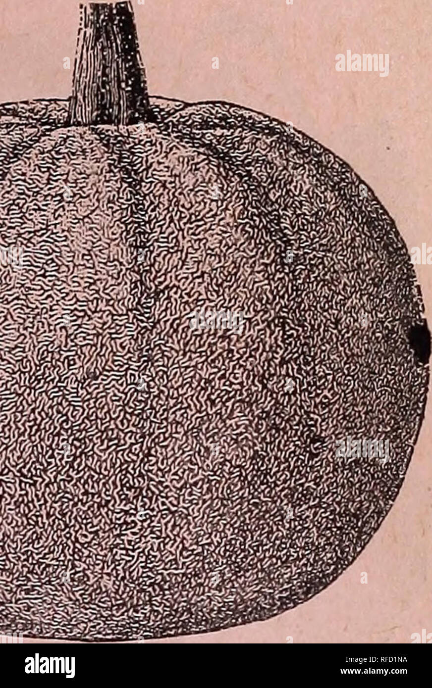 Skin indentations hi-res stock photography and images - Alamy