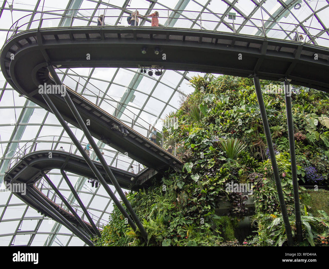 An overhead walkway in Cloud Forest at Gardens by the Bay in Singapore ...