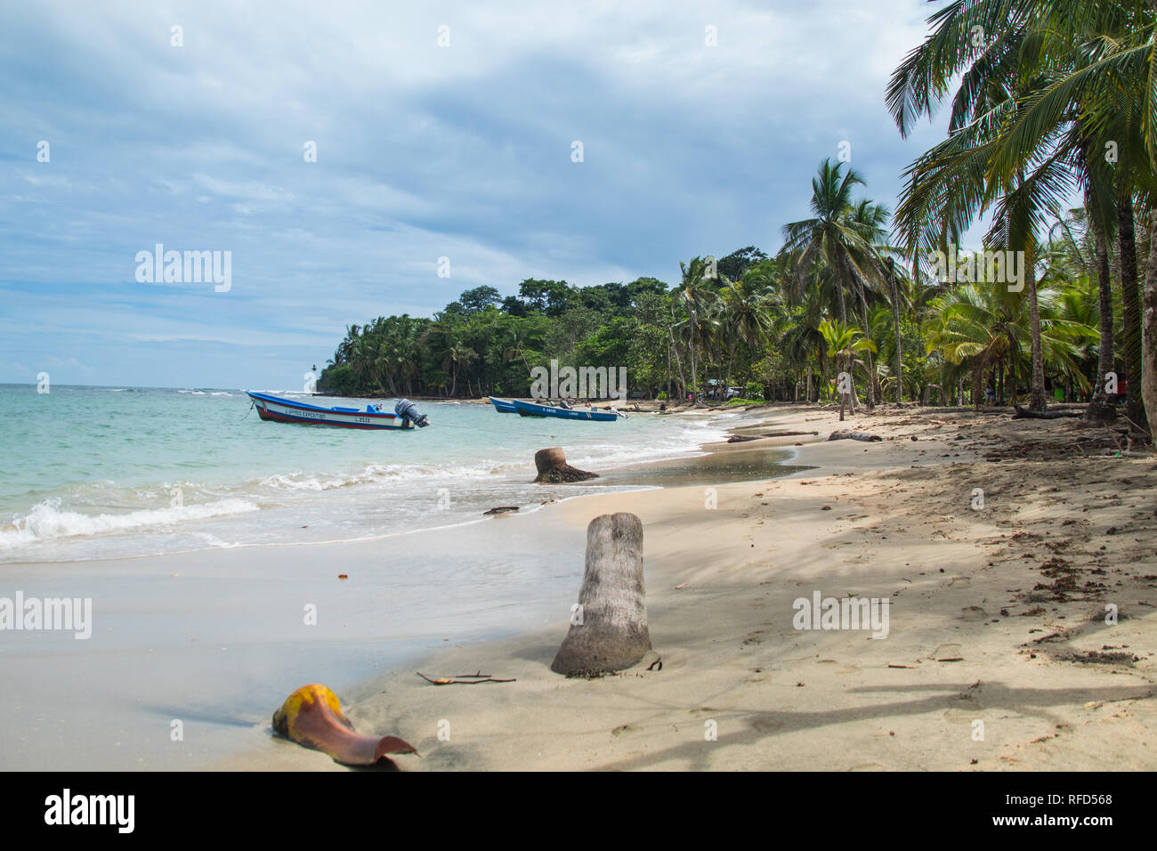 A scenic landscape photo of a wild and beautiful sandy beach at ...