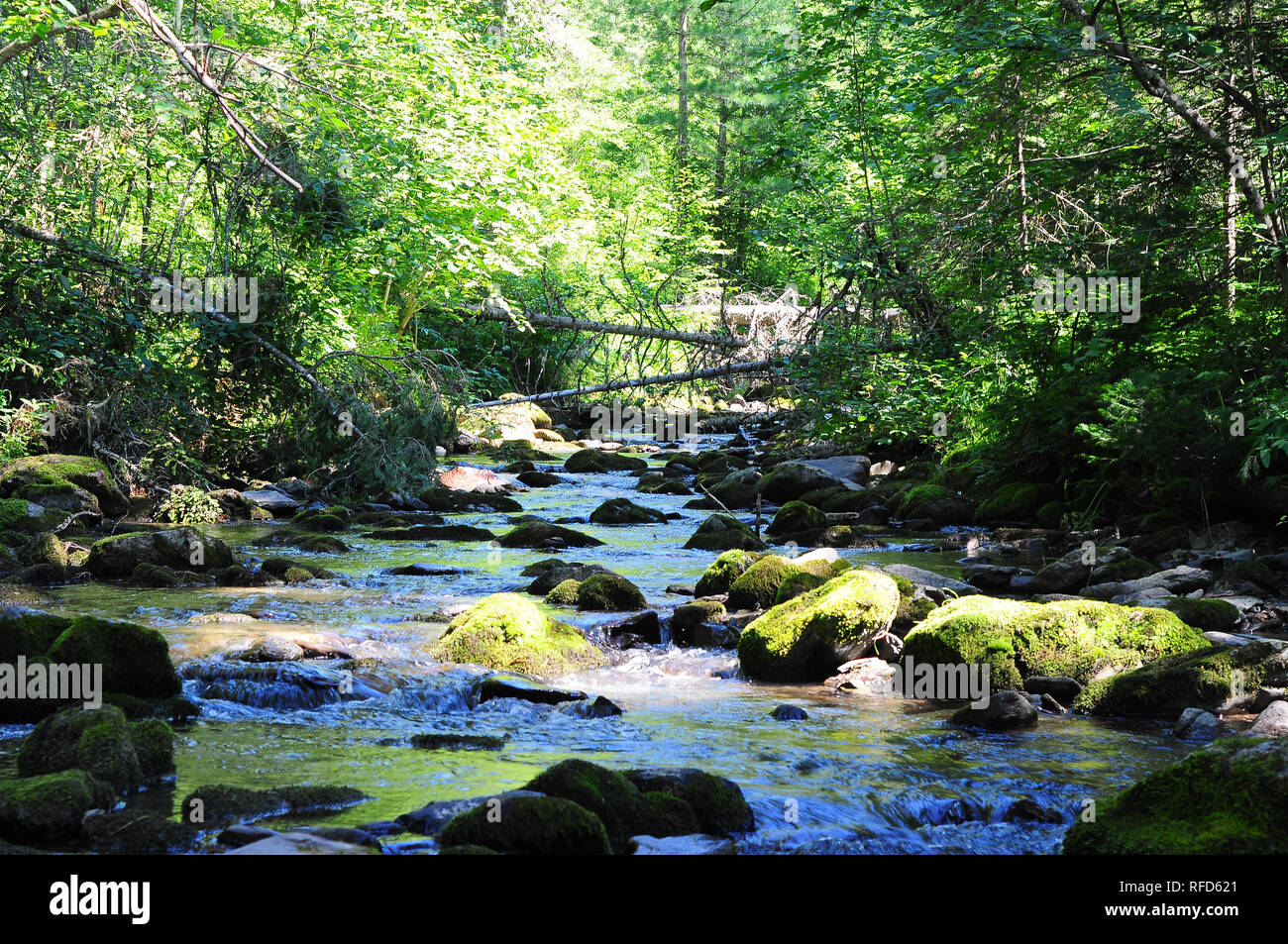 Cascade of waterfalls, a rapid flow of water flows through the channel ...