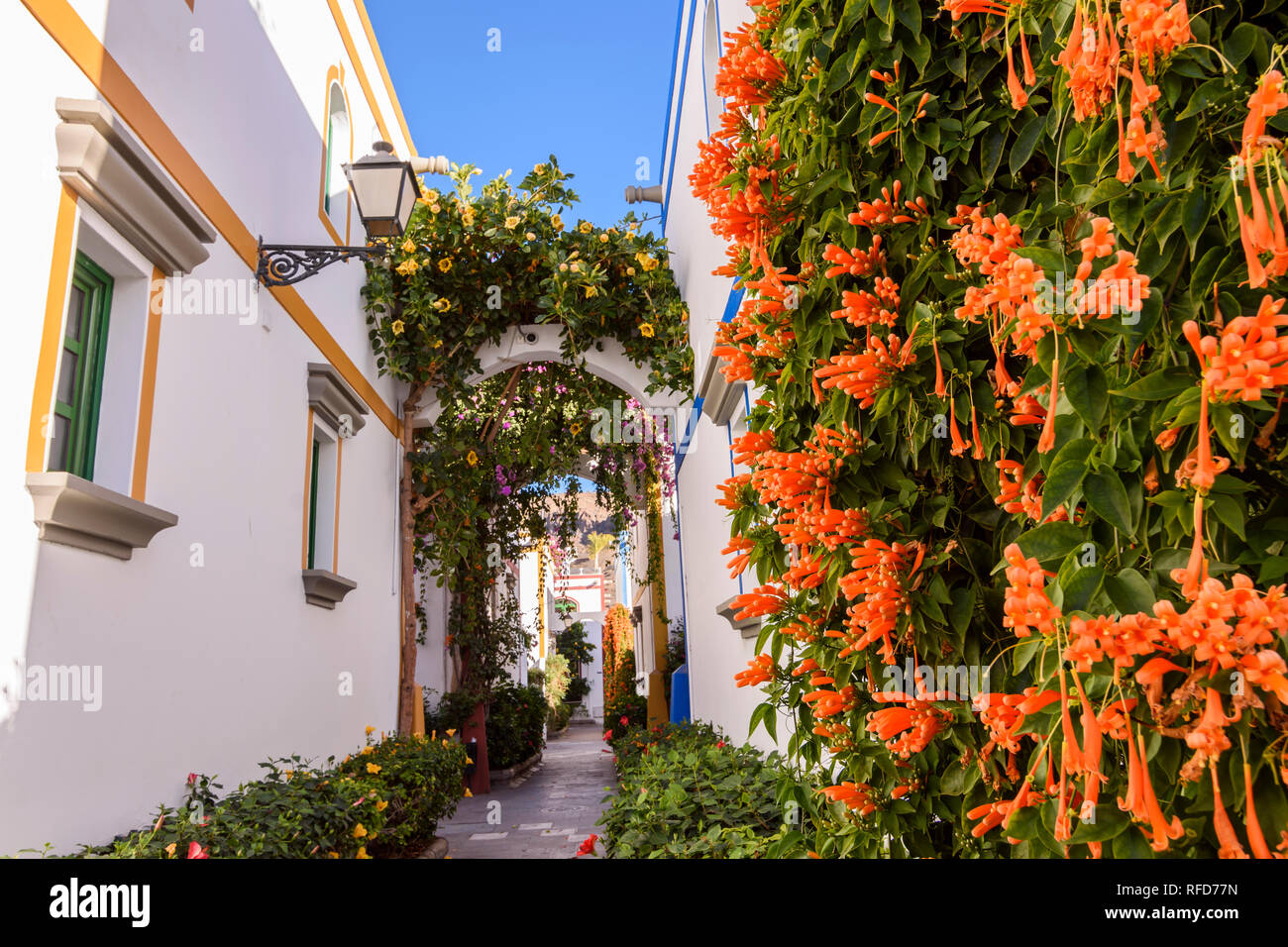 Streets of Mogán, Gran Canaria, Spain Stock Photo - Alamy