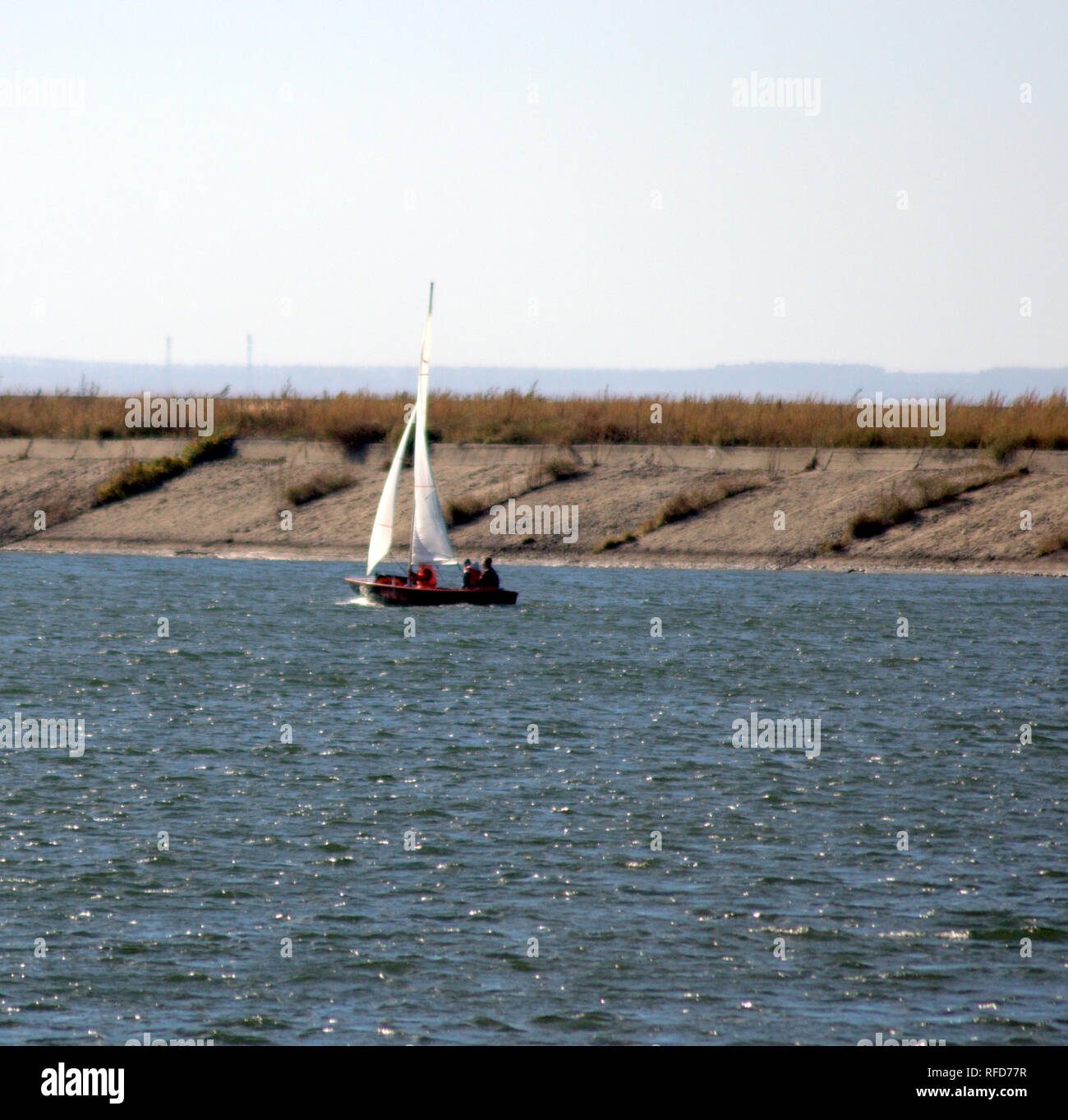 A small sailing yacht with raised sails filled with wind. A picture ...