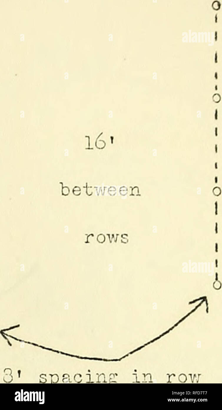 Crop spacing hi-res stock photography and images - Alamy