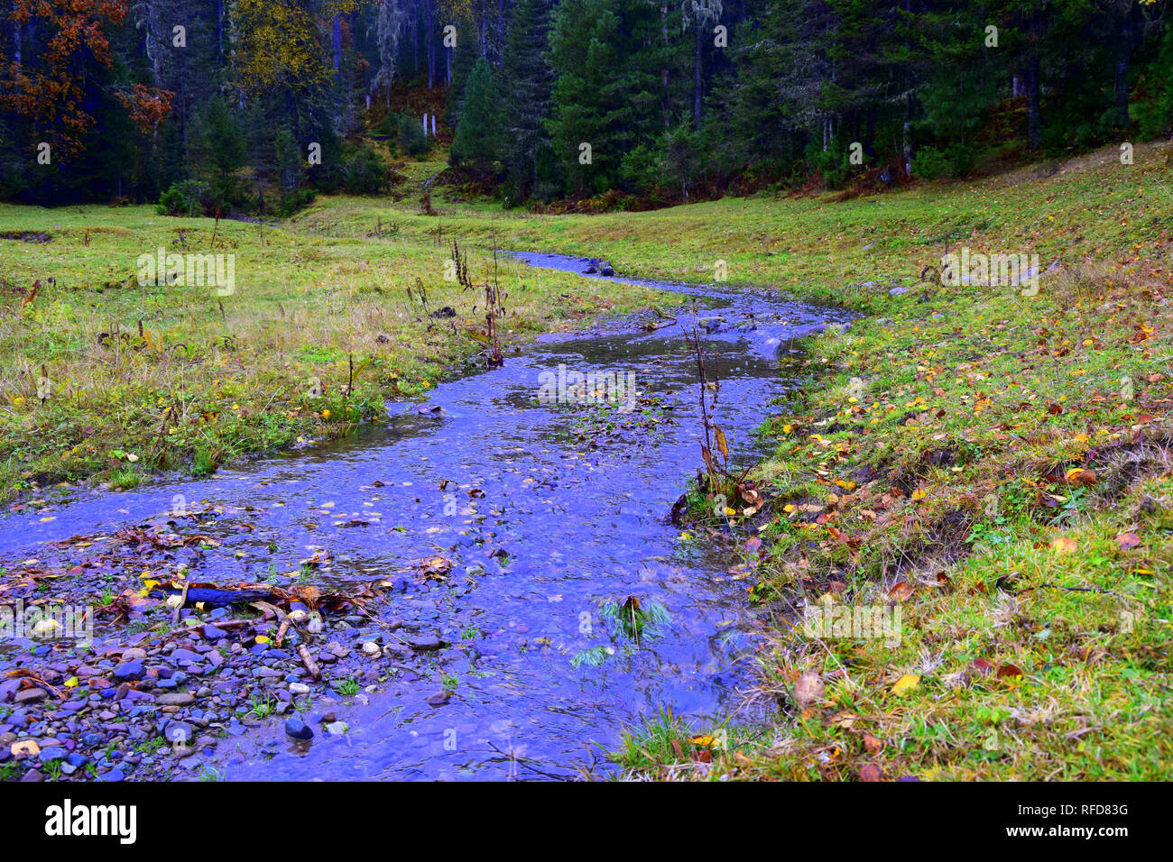 Mountain stream flowing down from the mountains to Teletskoye Lake. The ...