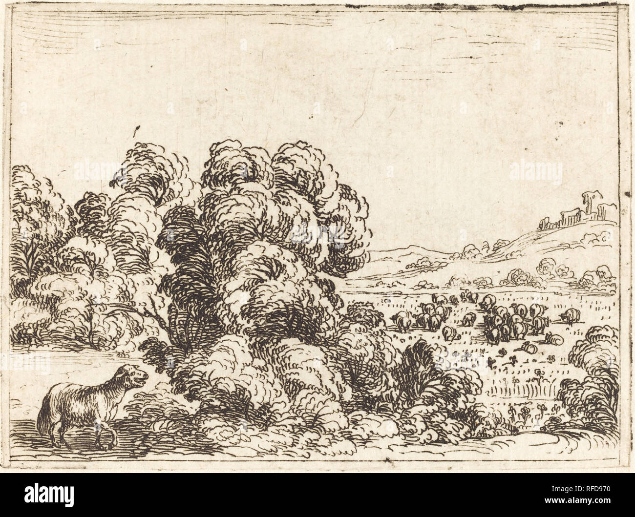 Lamb etching hi-res stock photography and images - Alamy