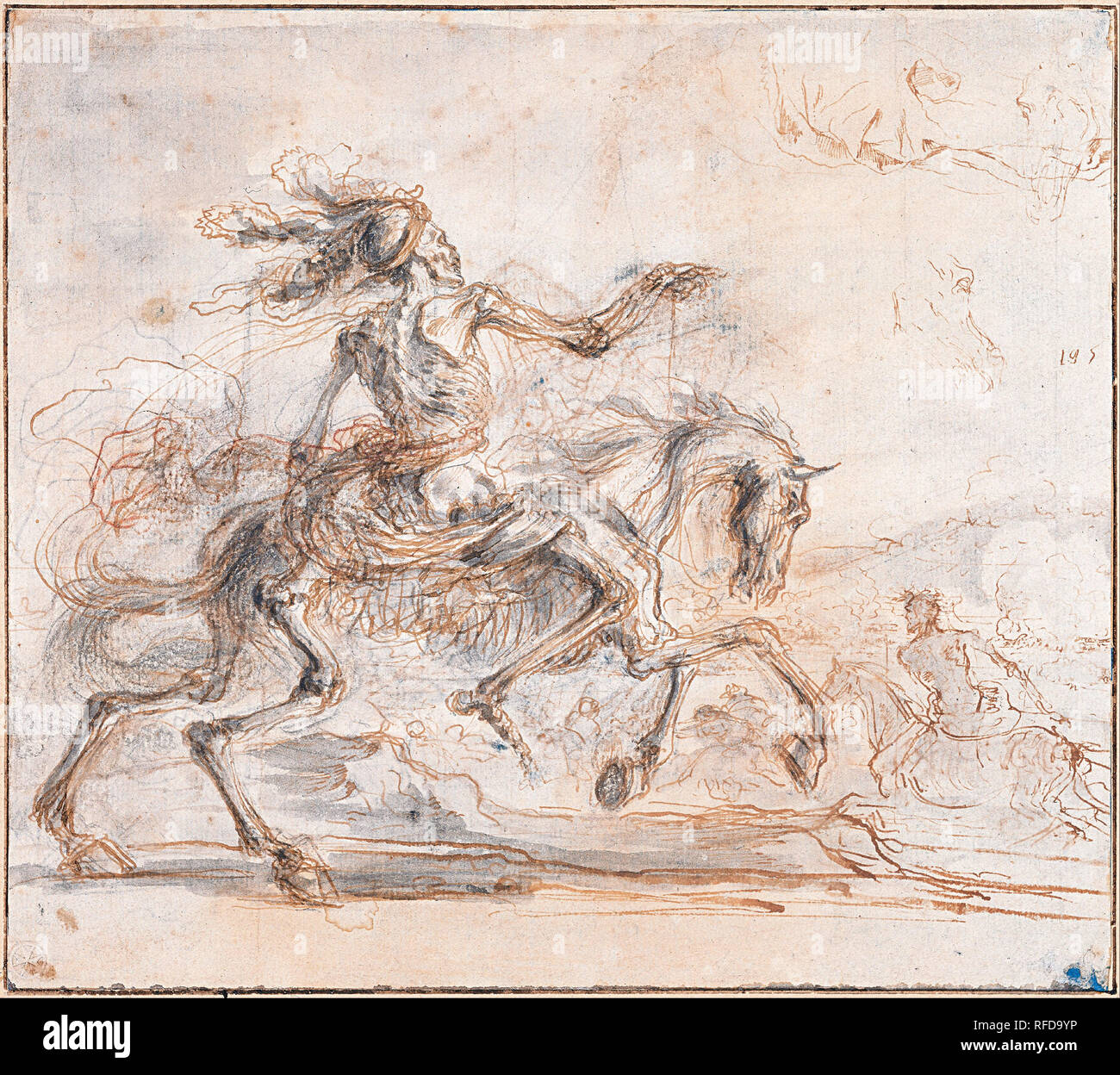 Bella gray hi-res stock photography and images - Alamy