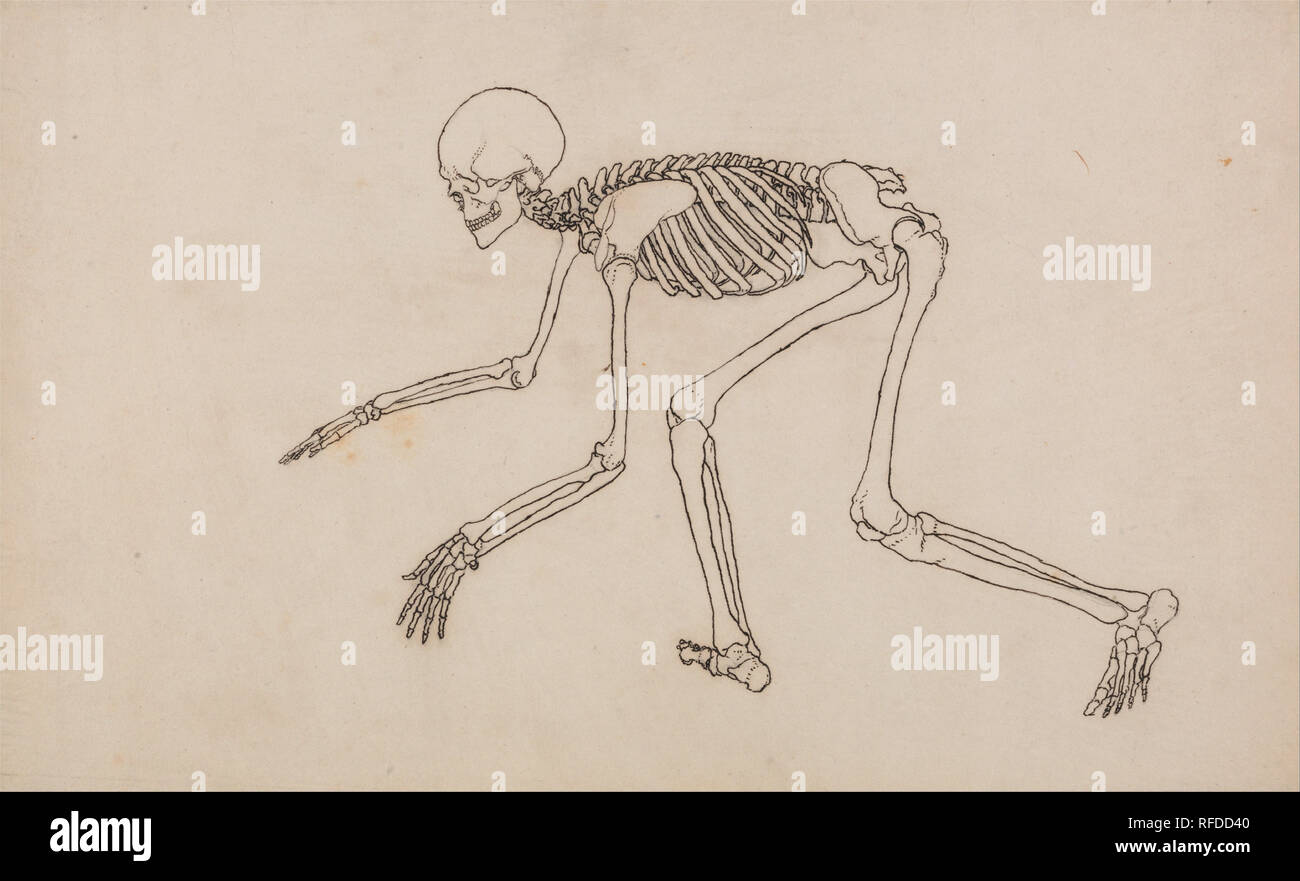 Skull and bones yale hi-res stock photography and images - Alamy