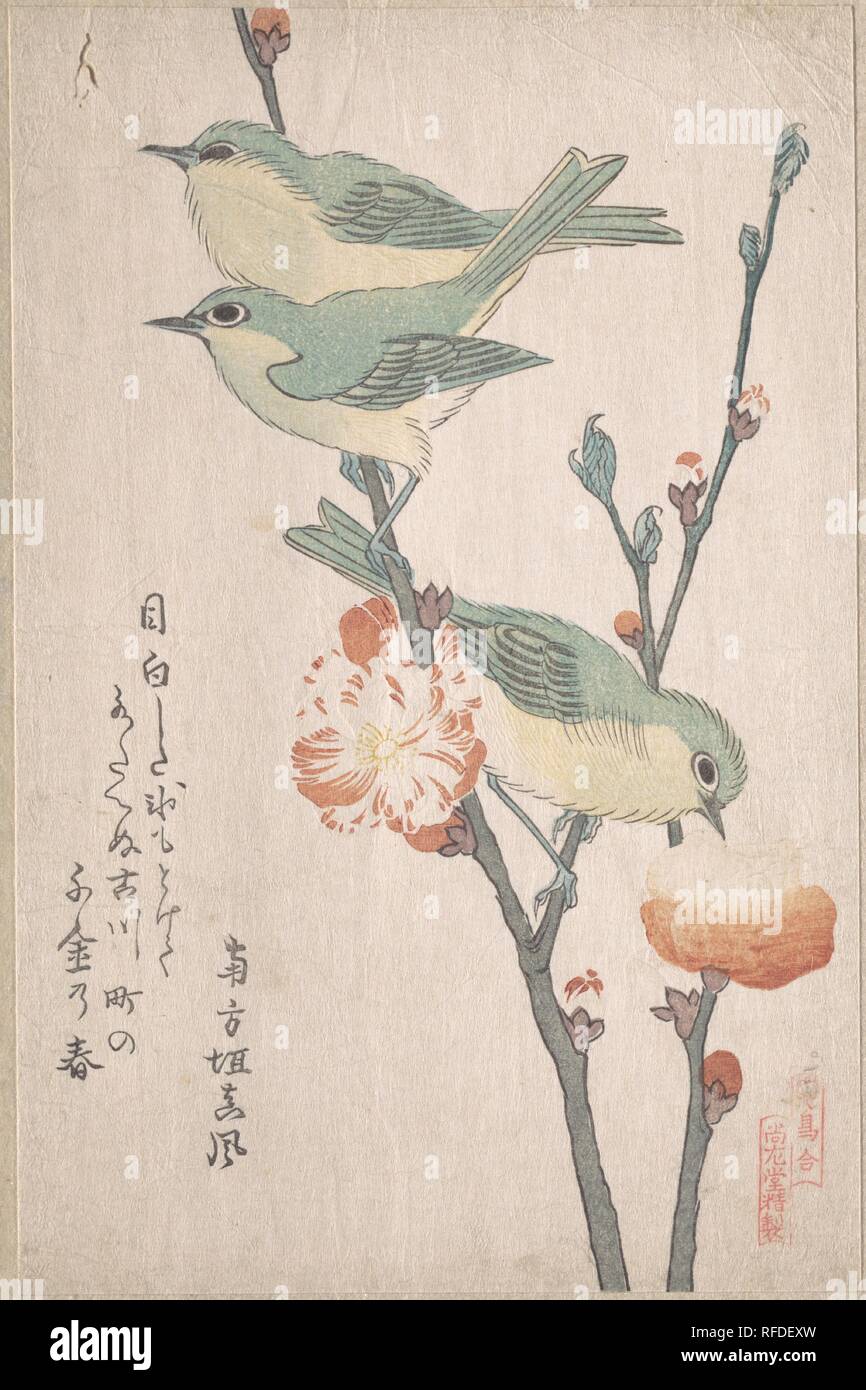 Japanese White-eyes on a Branch of Peach Tree," from the Series An ...