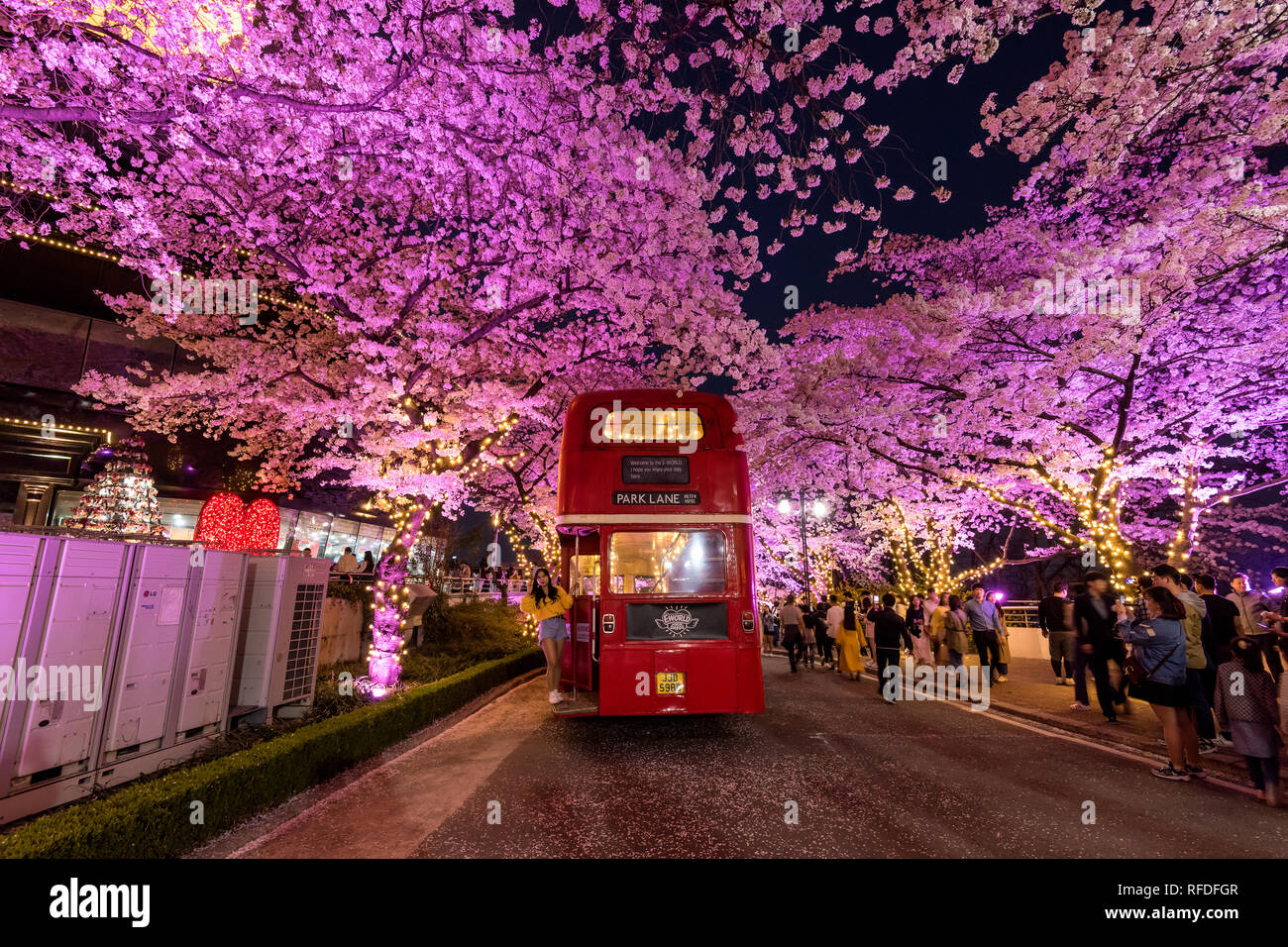 Beautiful night view of Cherry Blossom festival in Daegu E-World Stock ...