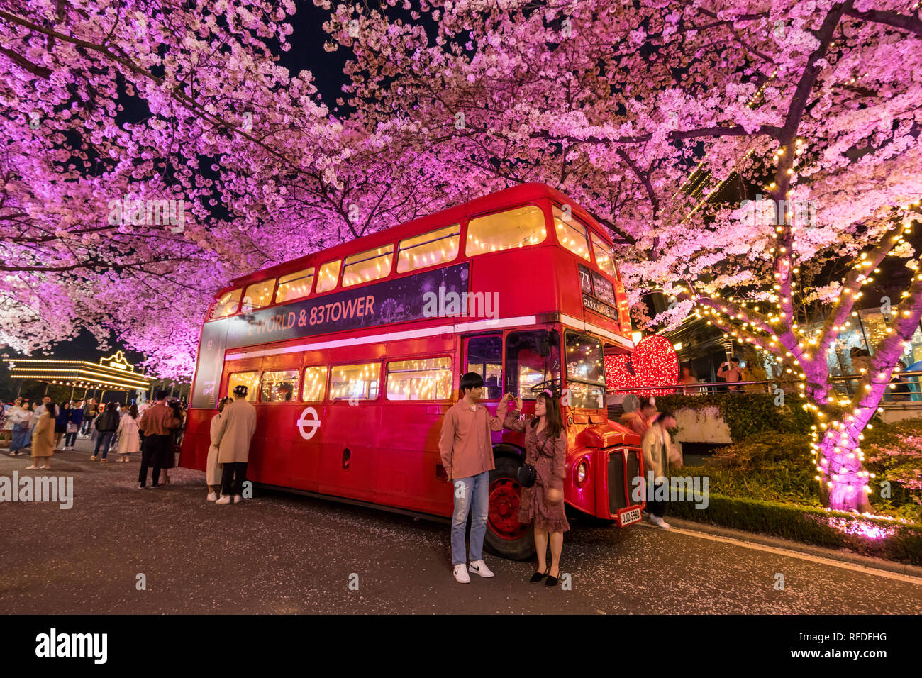 Beautiful night view of Cherry Blossom festival in Daegu E-World Stock ...