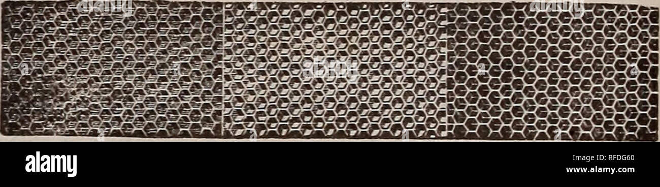 Slotted foundation hi-res stock photography and images - Alamy