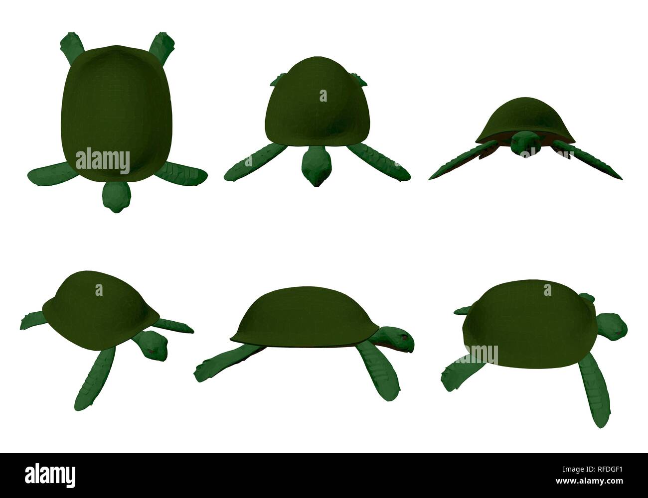 Set with green turtles. 6 turtles in different positions. 3D. Vector ...