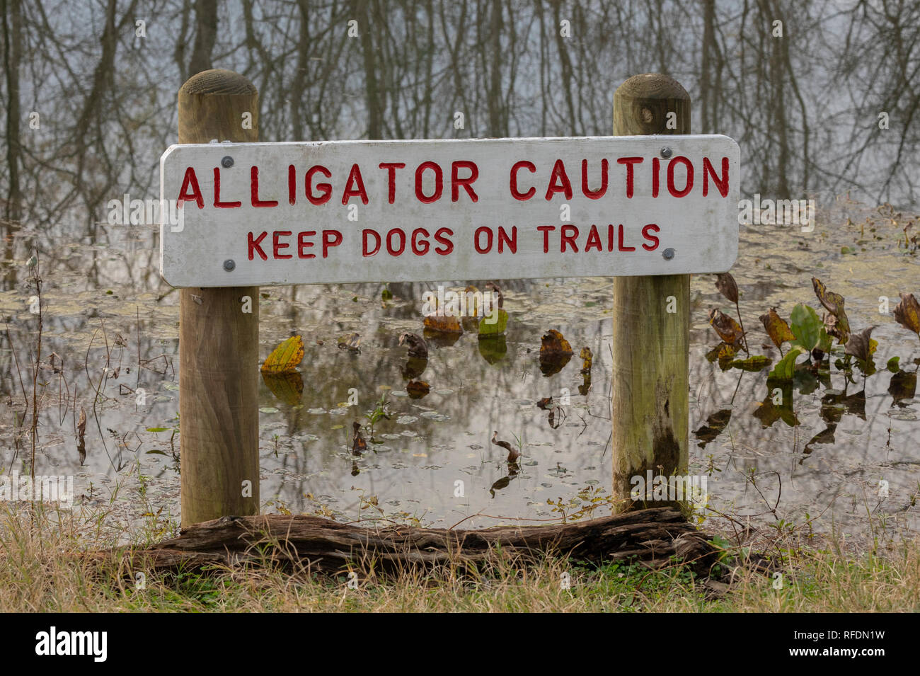 Alligator warning sign hi-res stock photography and images - Alamy