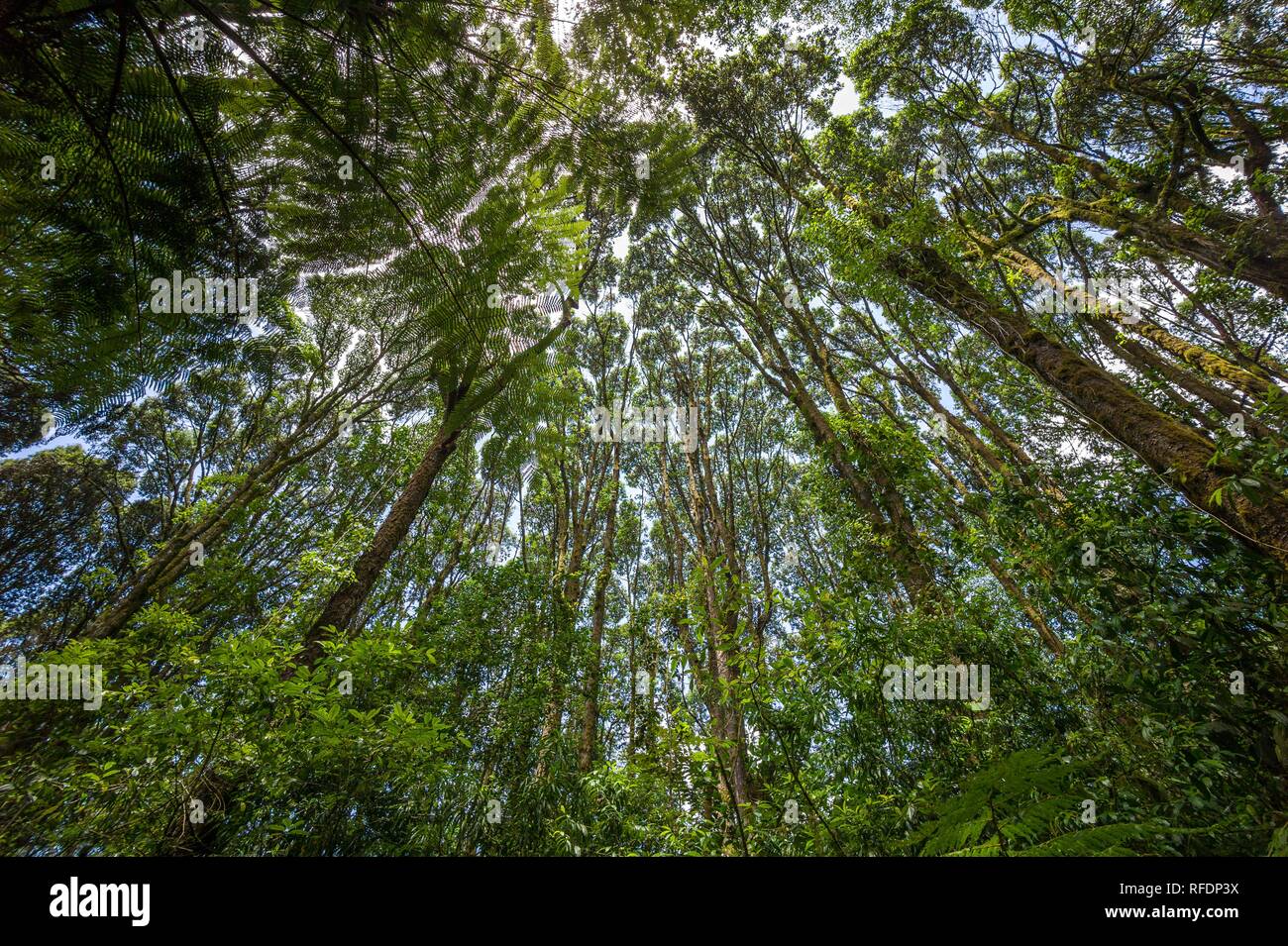 Visitors to Africa's tallest mountain and the world's tallest ...