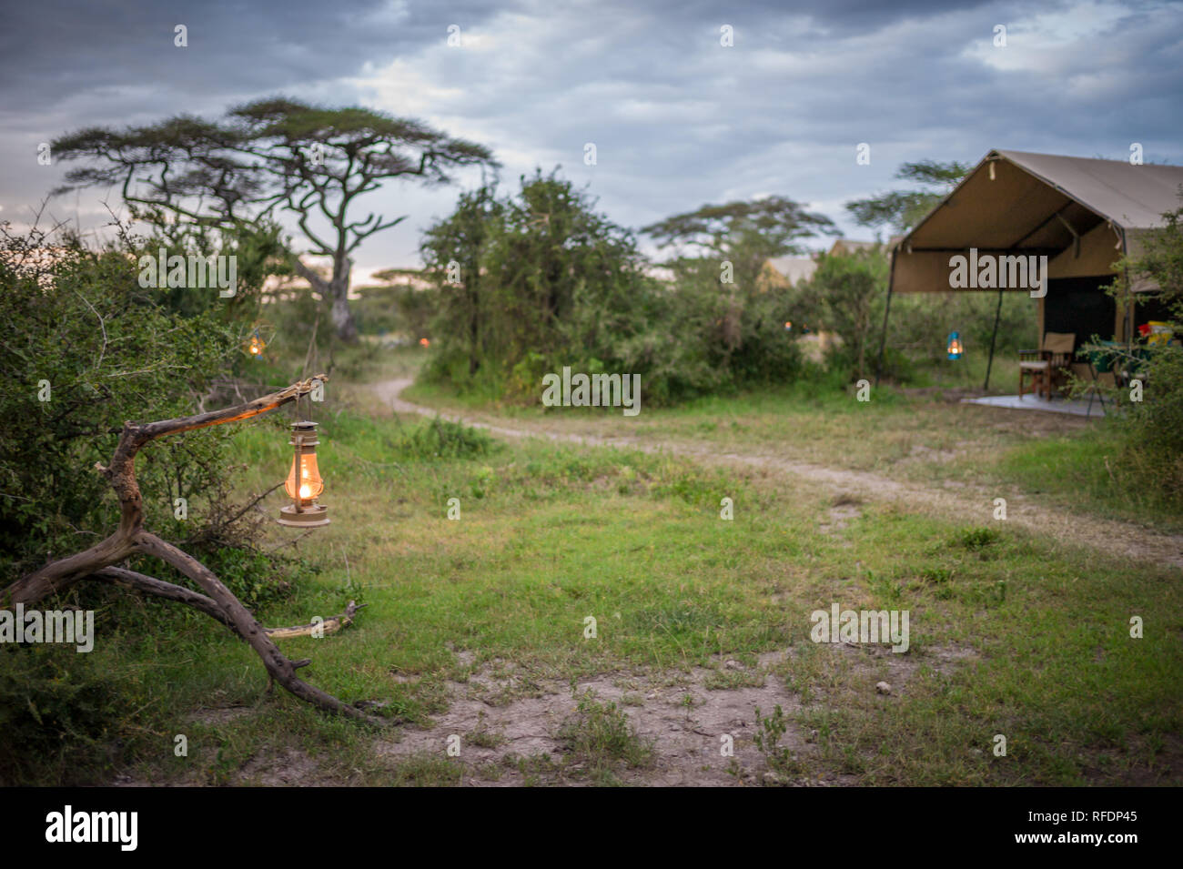 Short grass plains of Serengeti National Park, the Ndutu Region, and ...