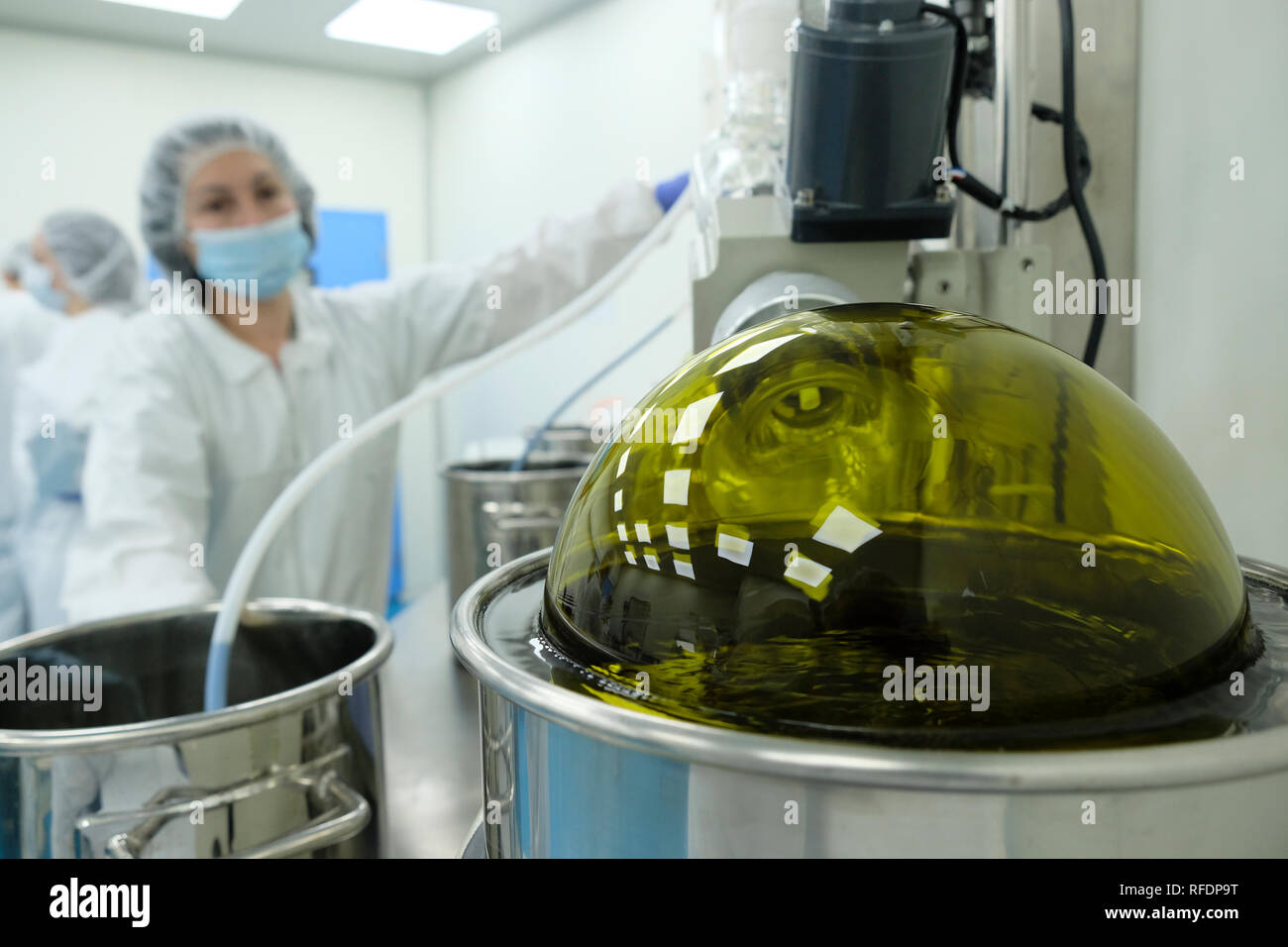 Laboratory technician working on cannabis extract for medical purposes ...