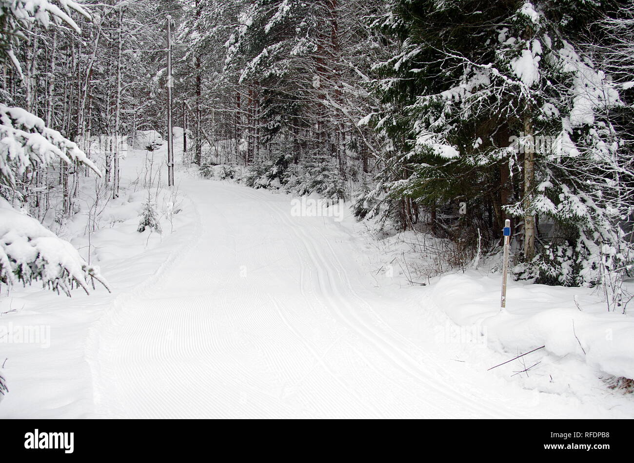 Birkebeiner hi-res stock photography and images - Alamy