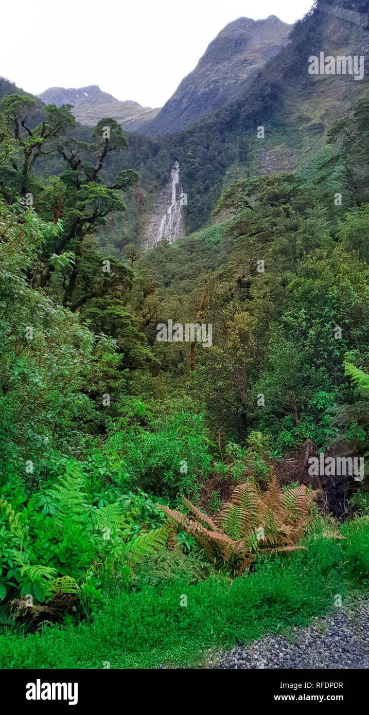 Doubtful Sound Waterfall, New Zealand, South Island, NZ Stock Photo - Alamy