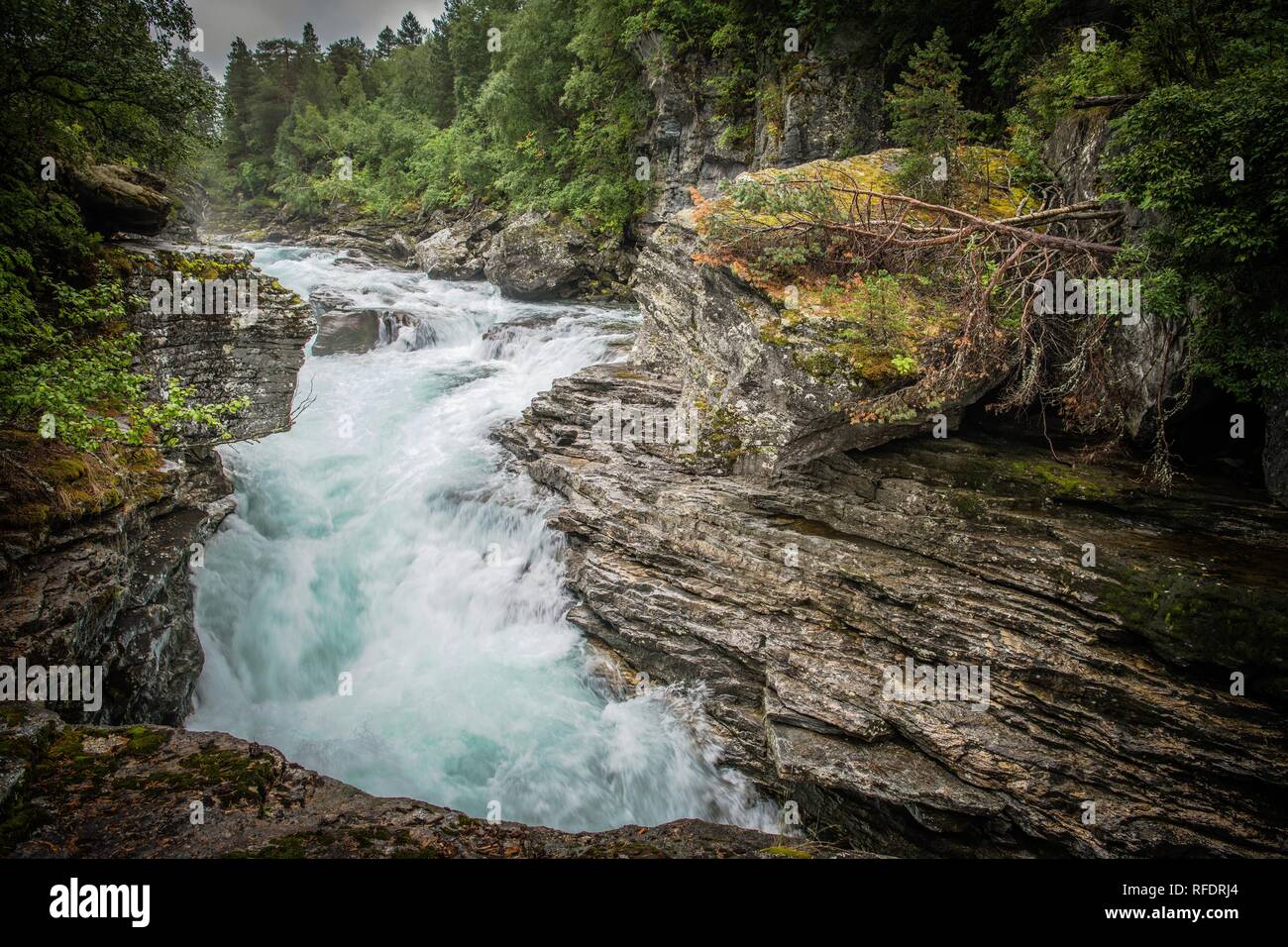 Scenic Norwegian Mountain River Gorge. Norway, Europe Stock Photo - Alamy
