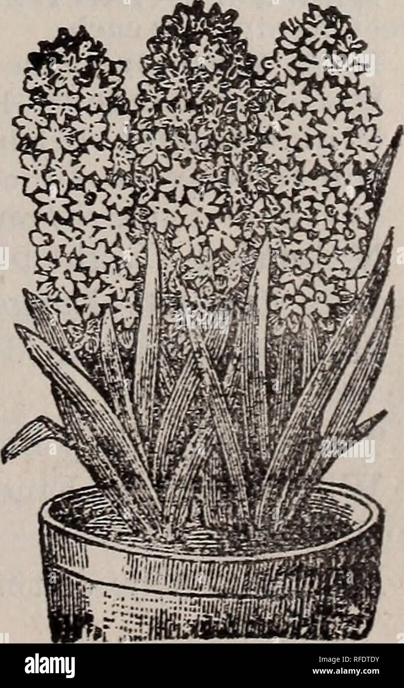 Garfield border hi-res stock photography and images - Alamy