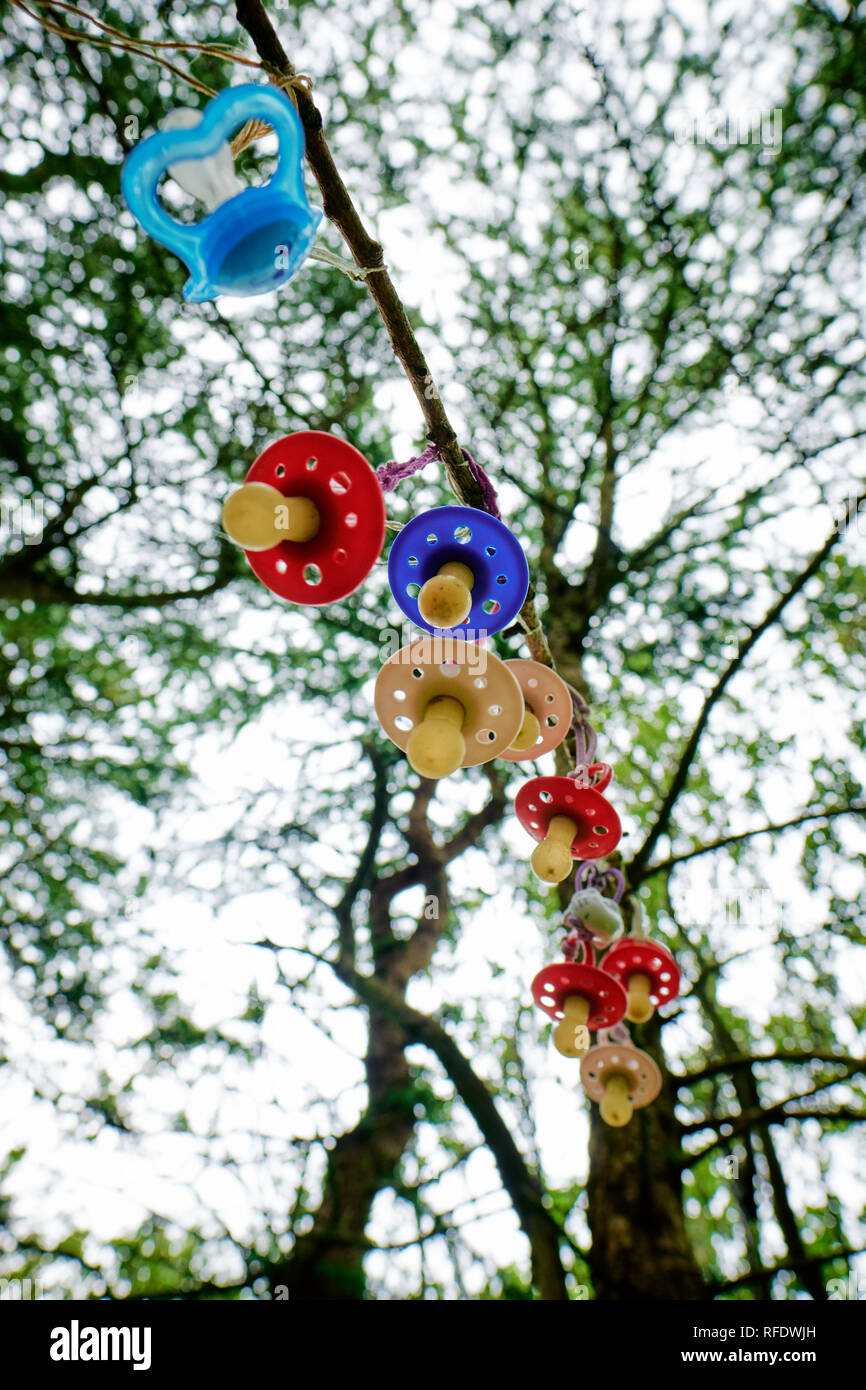 A Pacifier Tree (or Suttetræet) where outgrown dummies are hung from ...