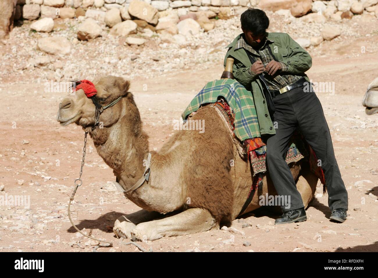 Camel riding, guide waiting for tourists, Petra Jordan Stock Photo - Alamy
