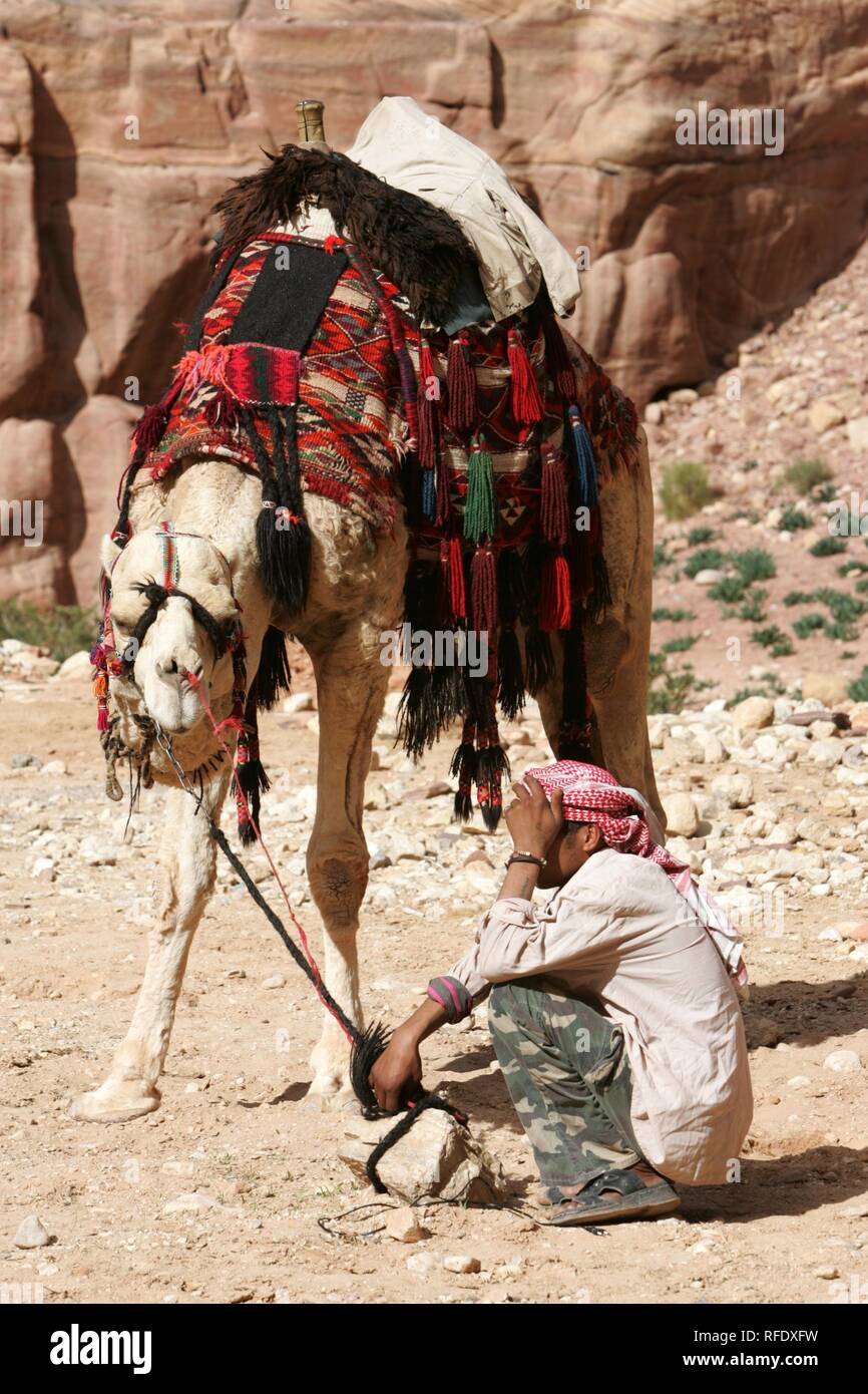 Camel riding, guide waiting for tourists, Petra, Jordan Stock Photo - Alamy