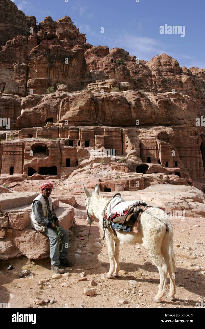 Donkey riding, guide waiting for tourists, Petra, Jordan Stock Photo ...