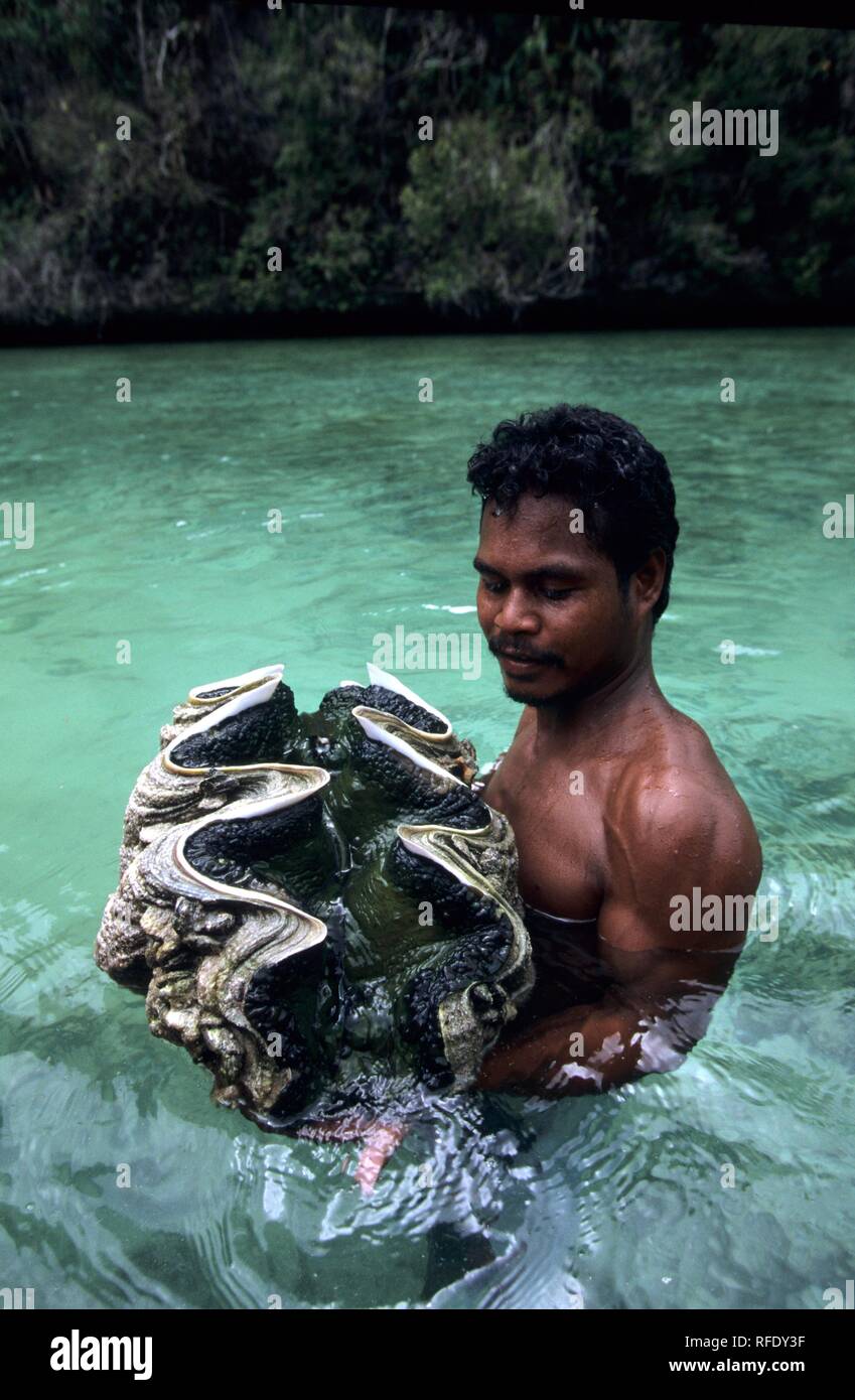 Fisher with a giant shell, Rock Islands, Palau, Micronesia Stock Photo ...