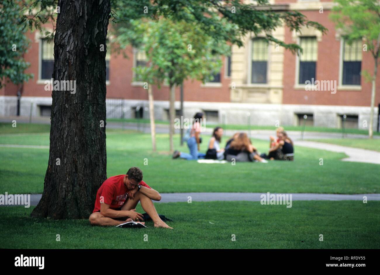 Harvard students read hi-res stock photography and images - Alamy