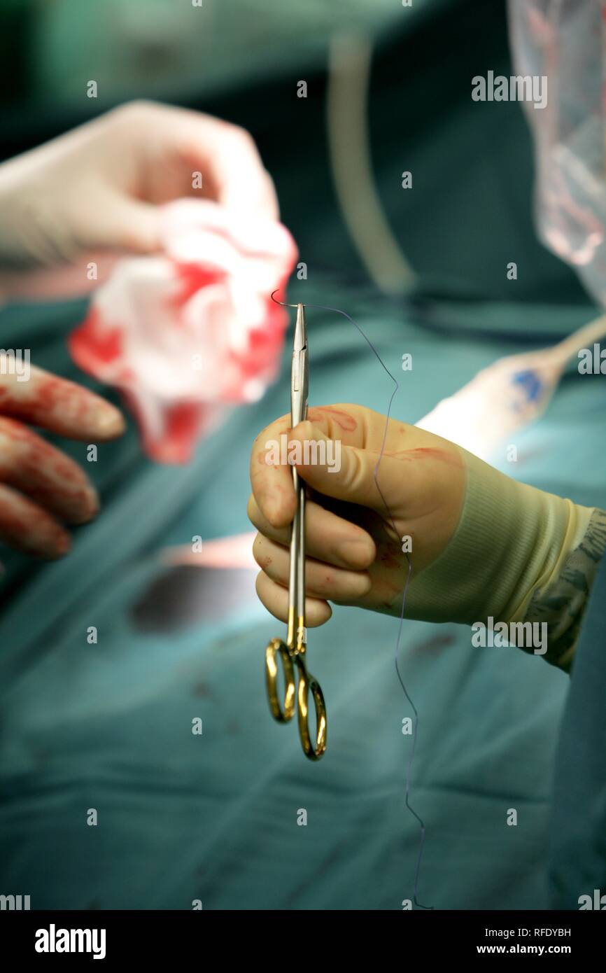 Operation, nurse holding clamp with needle and suture Stock Photo - Alamy