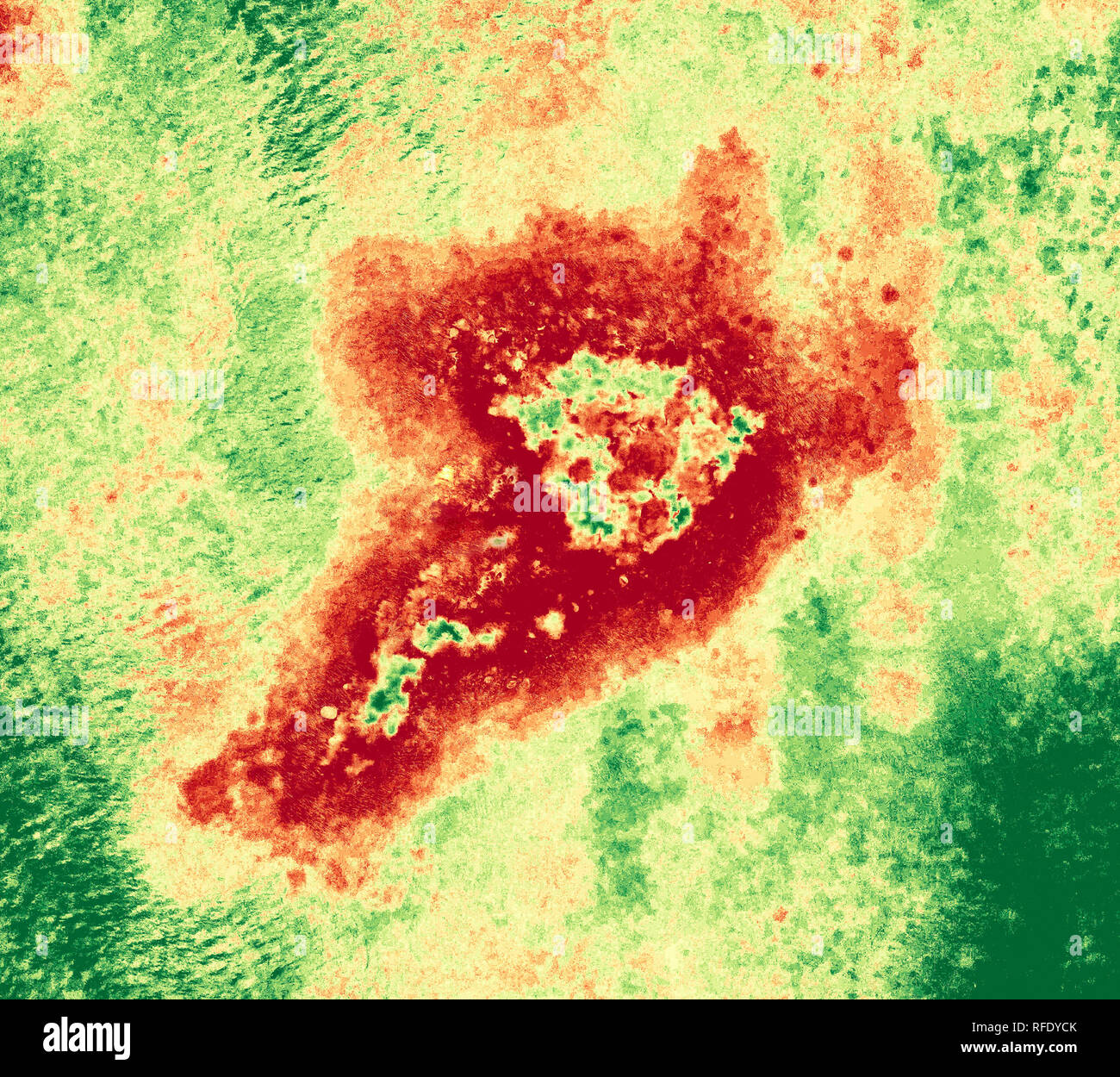 Aerial NDVI Red-Green vegetation index image of small island Stock ...