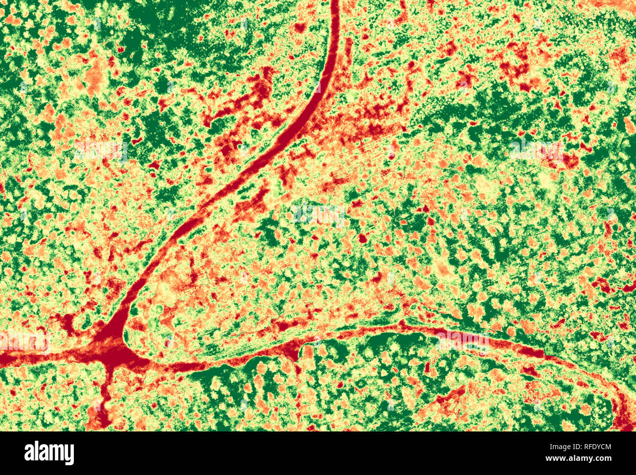 Aerial NDVI vegetation index remote sensing image of forest area with ...