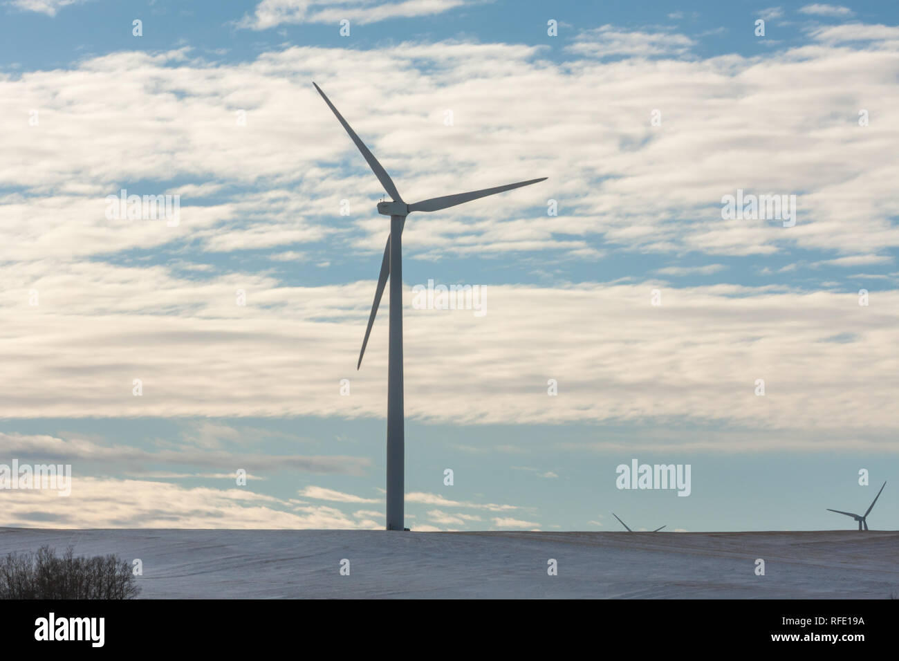 More and more wind turbines are dotting the landscape in Alberta ...