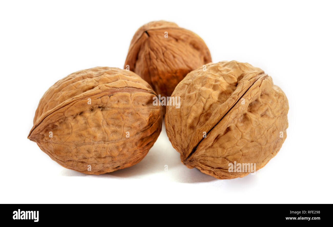 Walnut on white background. Raw walnut. The texture of the shell Stock ...