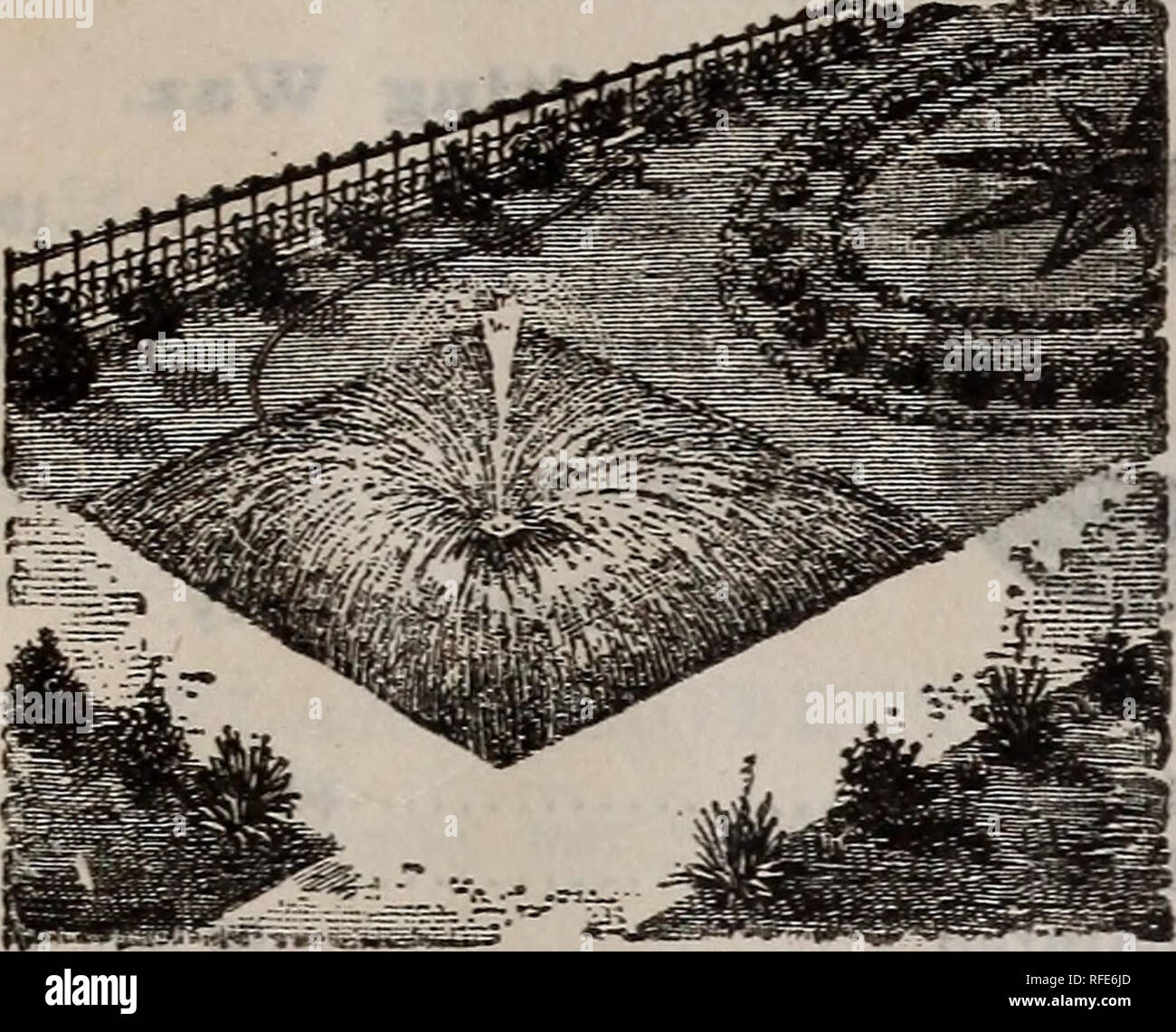 Propeller seeds hi-res stock photography and images - Alamy