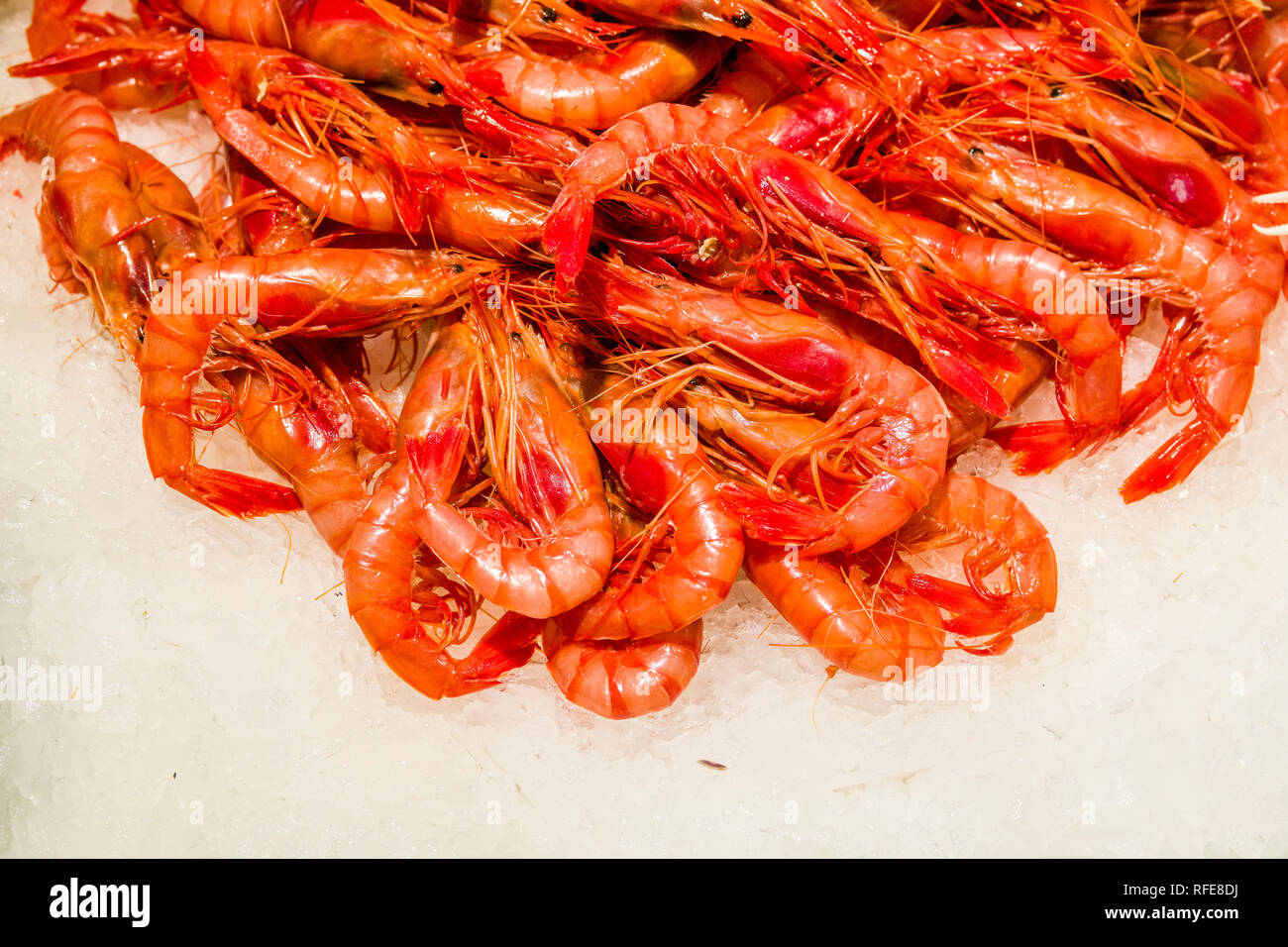 Gamba prawns (Aristeidae) are sold inside the Mercat de Sant Josep de ...
