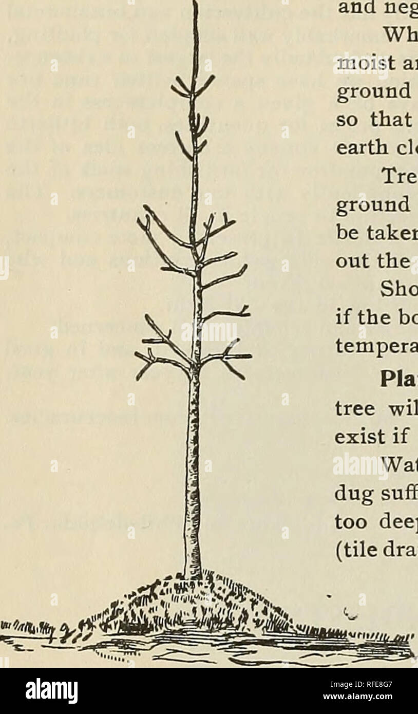 Catalogs tree hi-res stock photography and images - Alamy