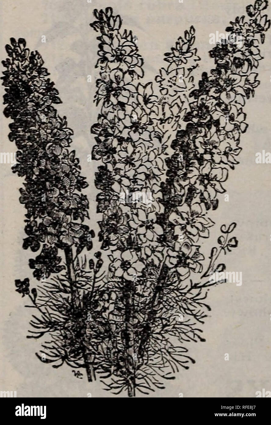 792 feet hi-res stock photography and images - Alamy