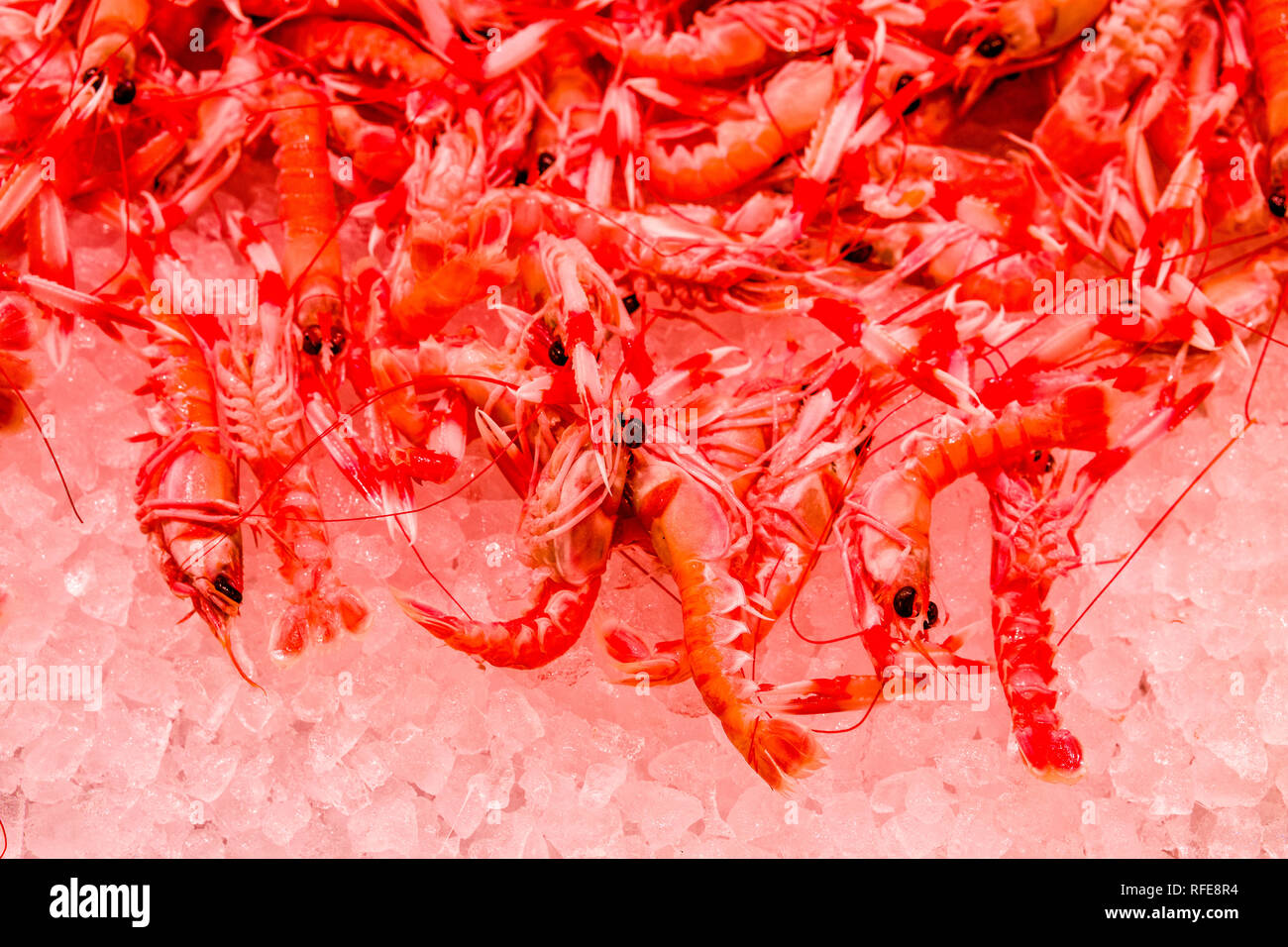 Prawns sold at market hi-res stock photography and images - Alamy