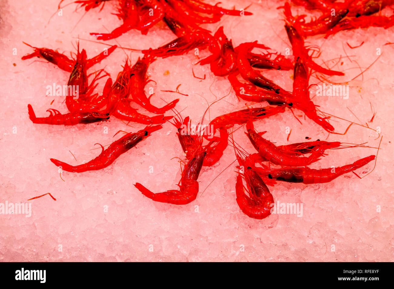 Gamba prawns (Aristeidae) are sold inside the Mercat de Sant Josep de ...