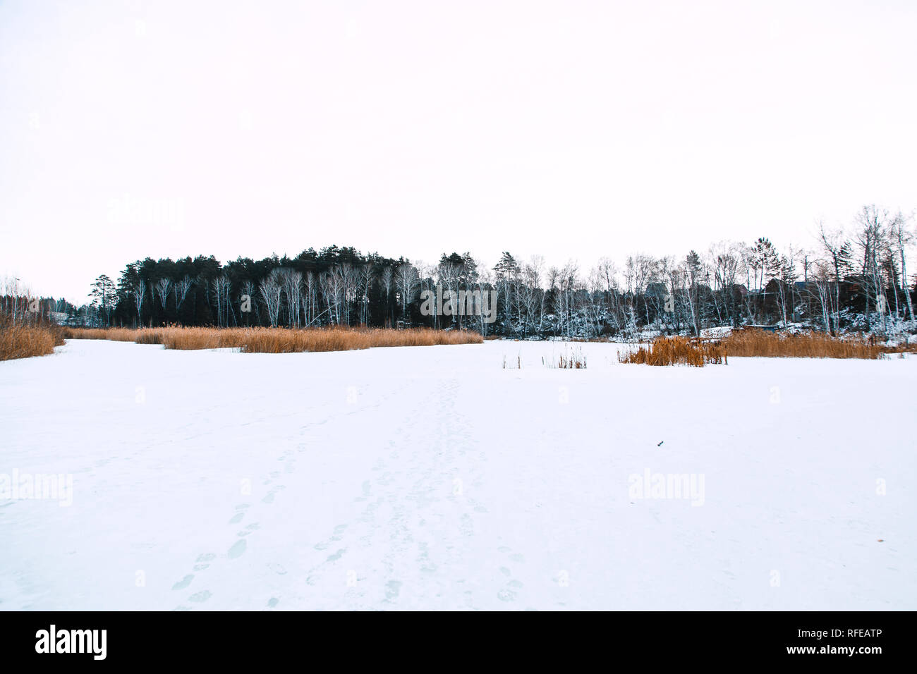 snowy winter in russia Stock Photo - Alamy