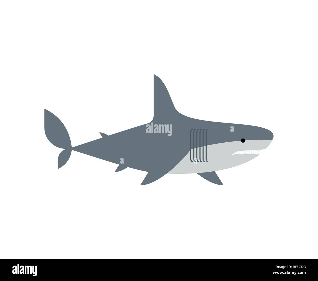 Shark isolated. Marine predator vector illustration. Large predatory ...
