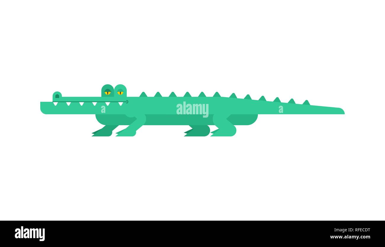 Crocodile cartoon. Alligator green. croc reptile vector illustration ...