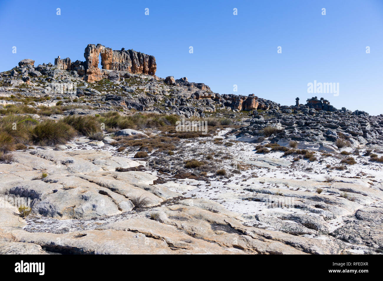 Wolfberg hi-res stock photography and images - Alamy