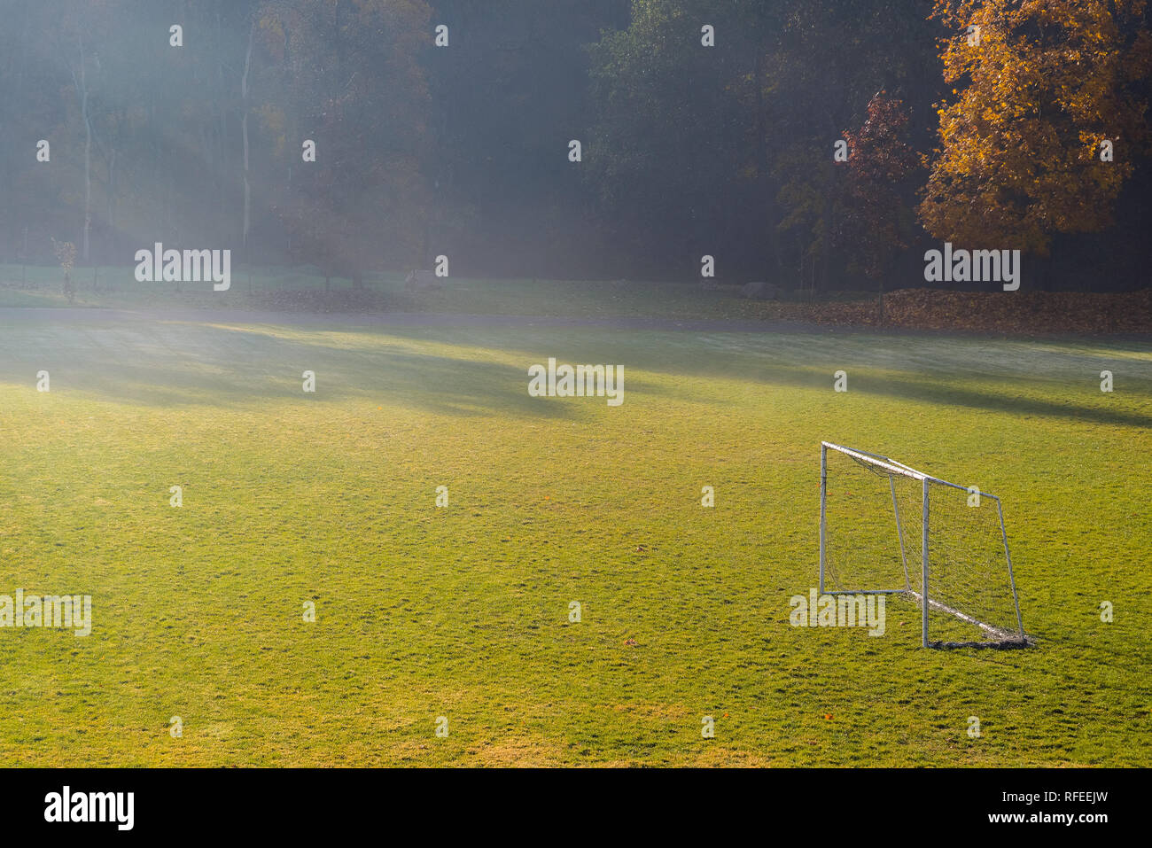 Foggy soccer field hi-res stock photography and images - Alamy
