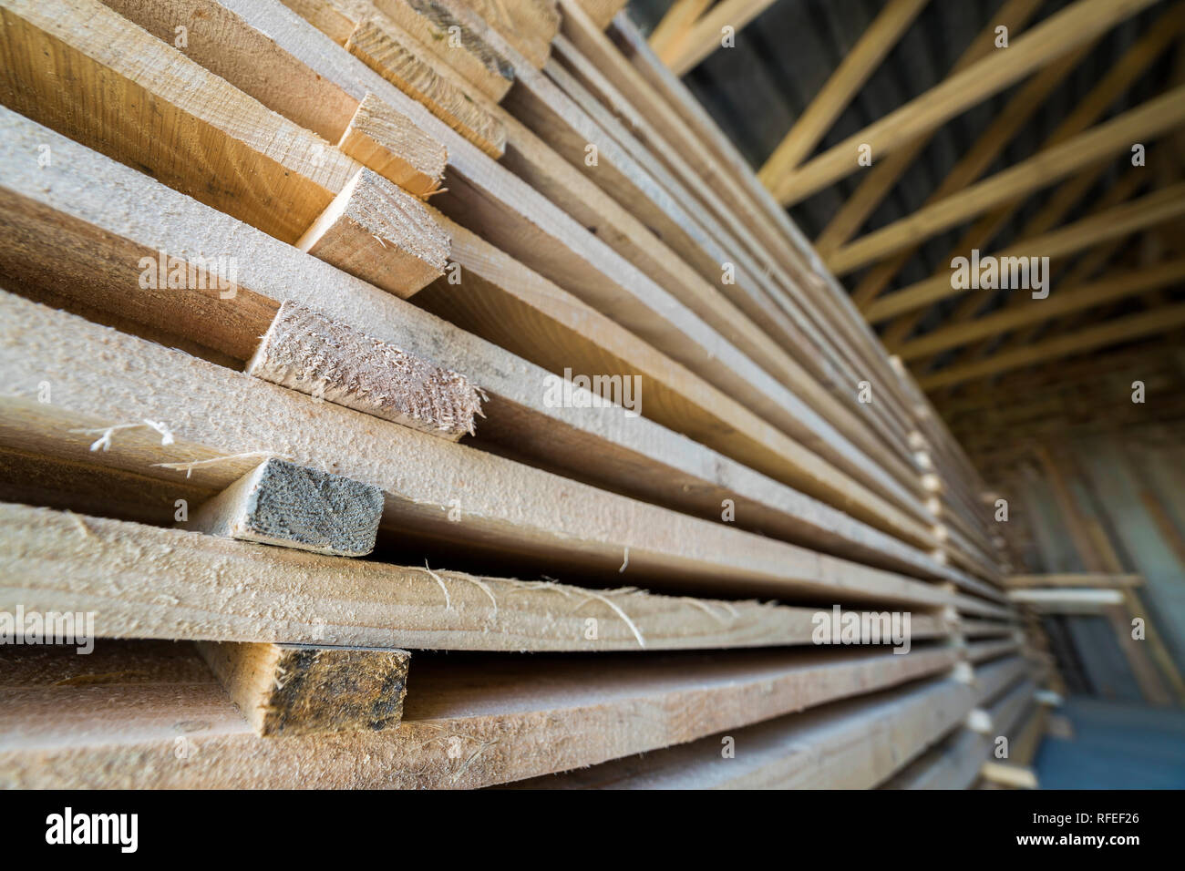 Long plank plank under hi-res stock photography and images - Alamy