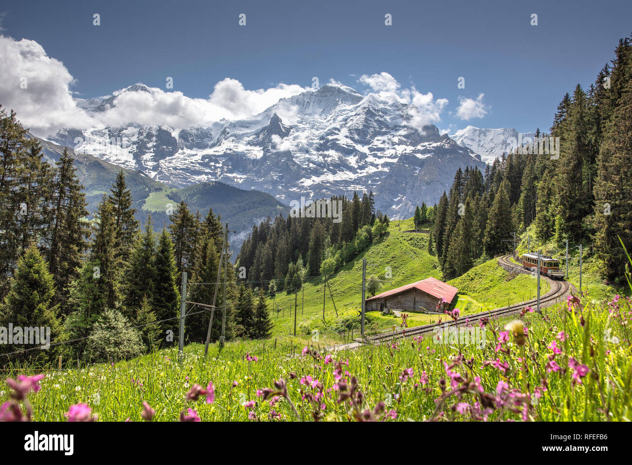 Switzerland, Alps, Berner Oberland, Spring. Murren, Train and Jungfrau ...